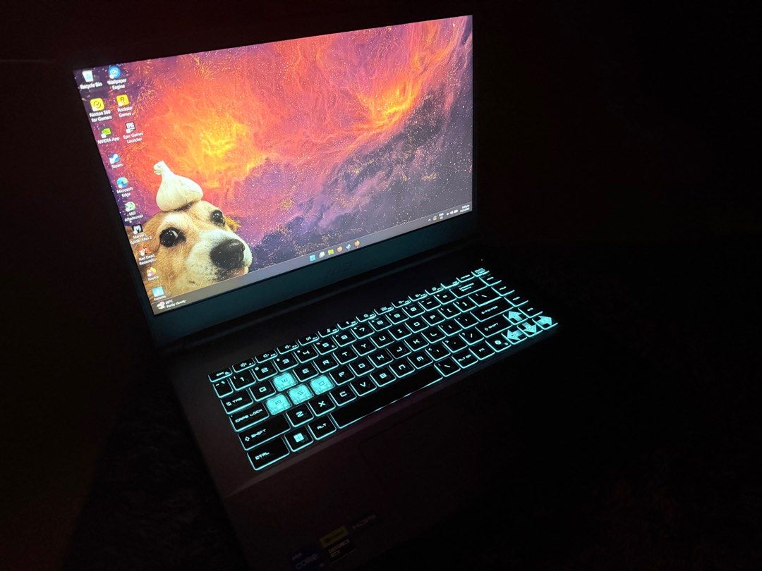 MSI Thin 15 B13UC (2025) Gaming Laptop - RTX 3050, Computers & Tech ...