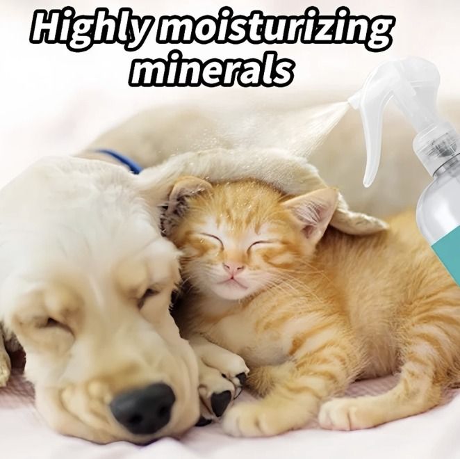 Pet Deodorant Spray | Indoor Antibacterial Cat /Dog Urine Spray | Cat ...