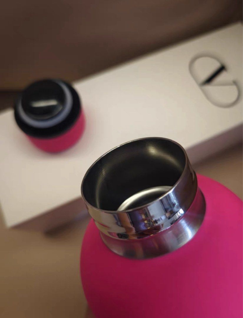 [pre-order] Valentino Tumbler 2025 Year of Horse, Furniture & Home ...