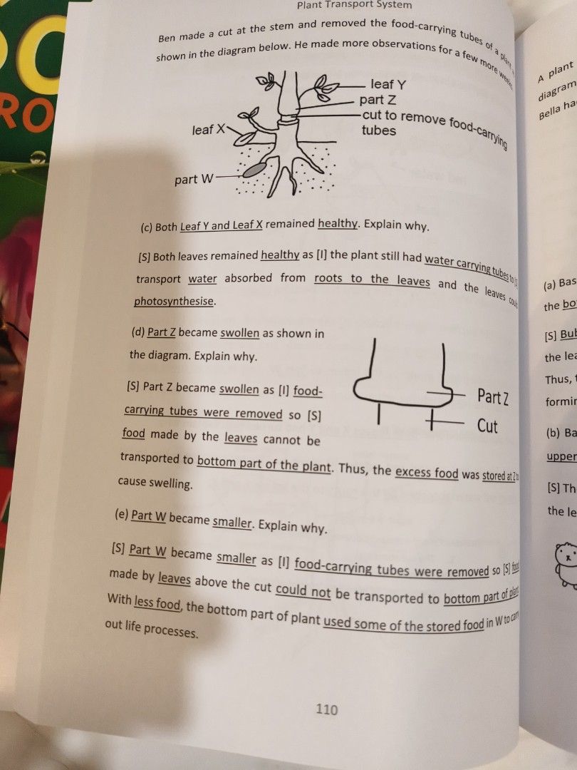 Primary 5 PSLE Science assessment book answering techniques, Hobbies ...