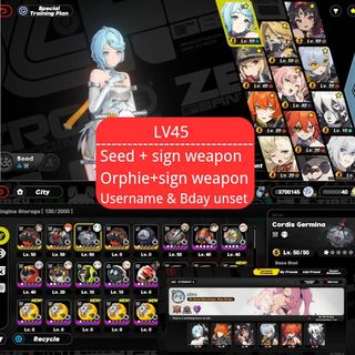 Zenless Zone Zero ZZZ Account - Has ALL Characters, Video Gaming, Video ...