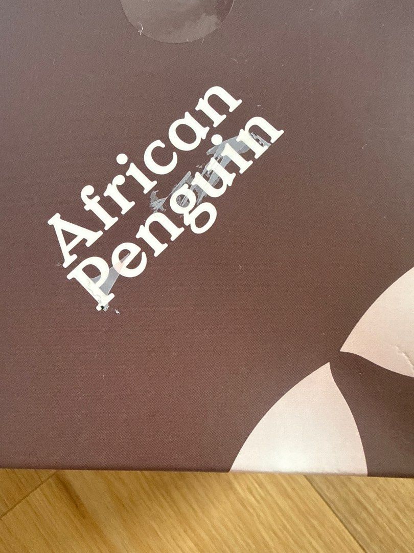 African Penguin 'Bella' Collectible, Hobbies & Toys, Memorabilia ...