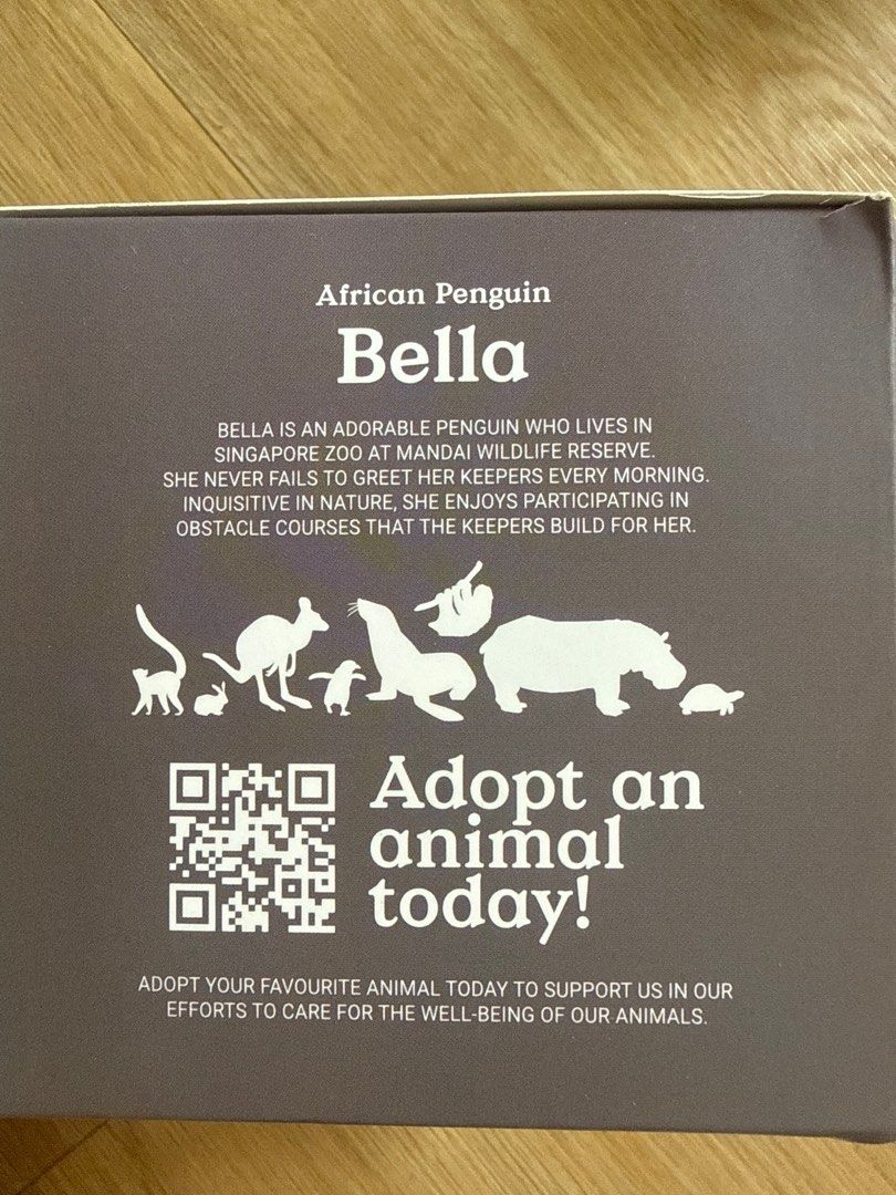 African Penguin 'Bella' Collectible, Hobbies & Toys, Memorabilia ...