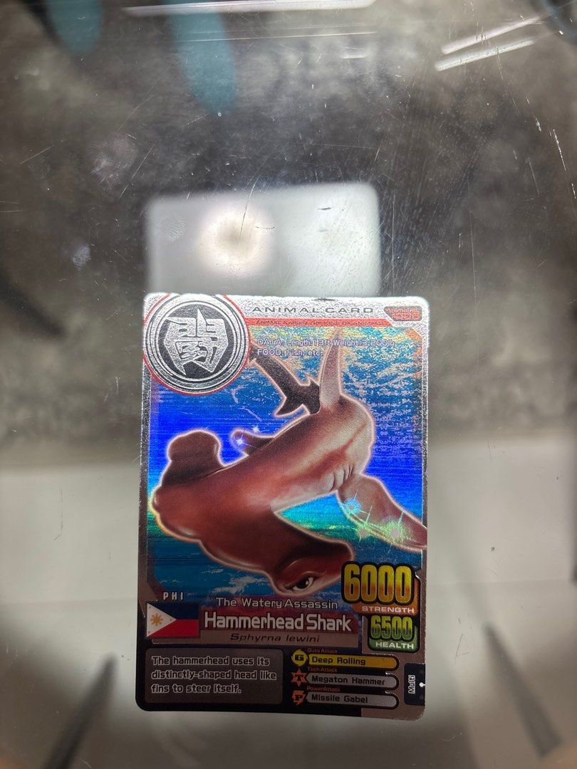 Animal Kaiser Plus Hammerhead Shark, Hobbies & Toys, Toys & Games on ...