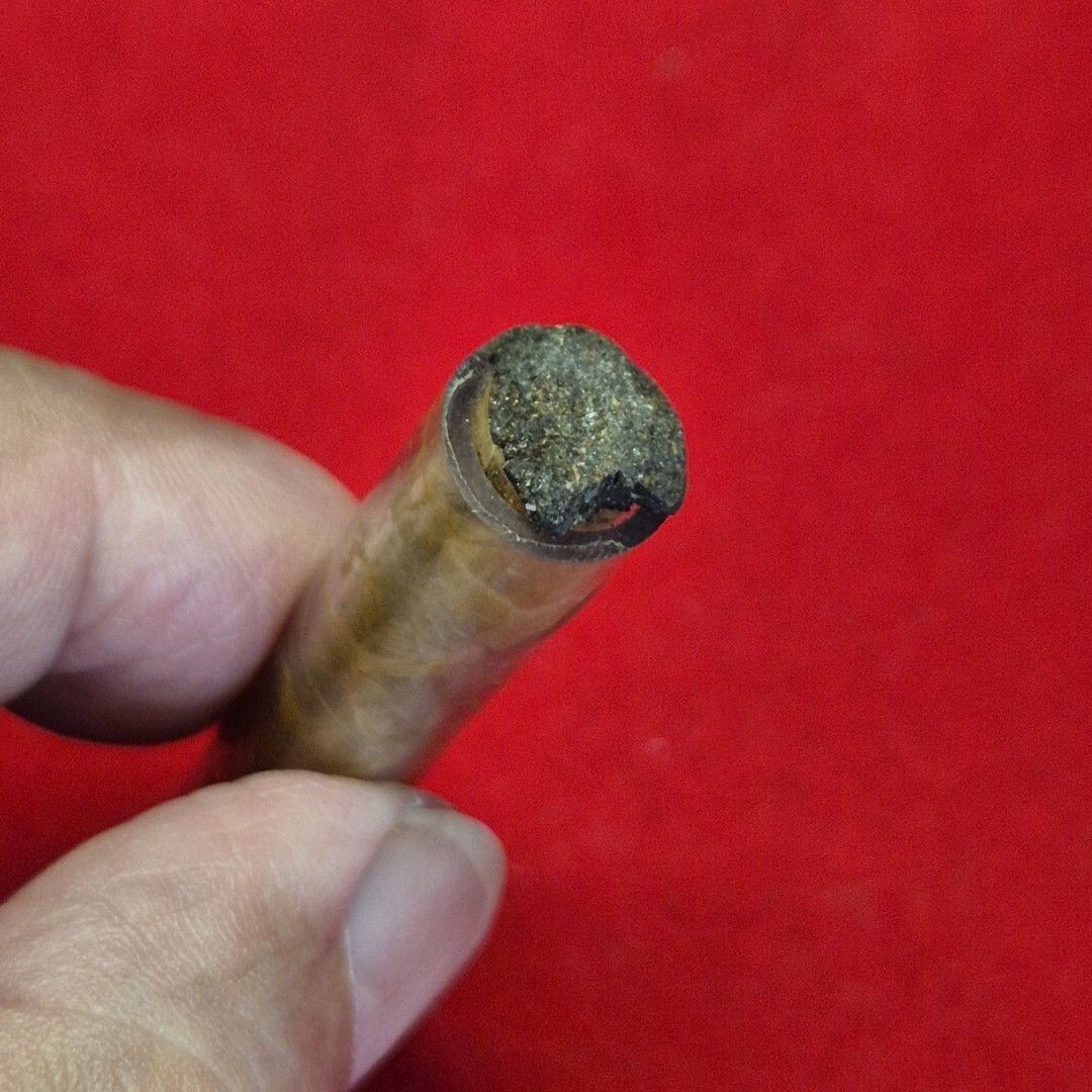 Archan Pleng - Snake Skin Takrut, Hobbies & Toys, Memorabilia ...