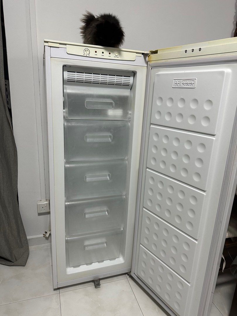 Butterfly Upright Freezer, TV & Home Appliances, Kitchen Appliances ...