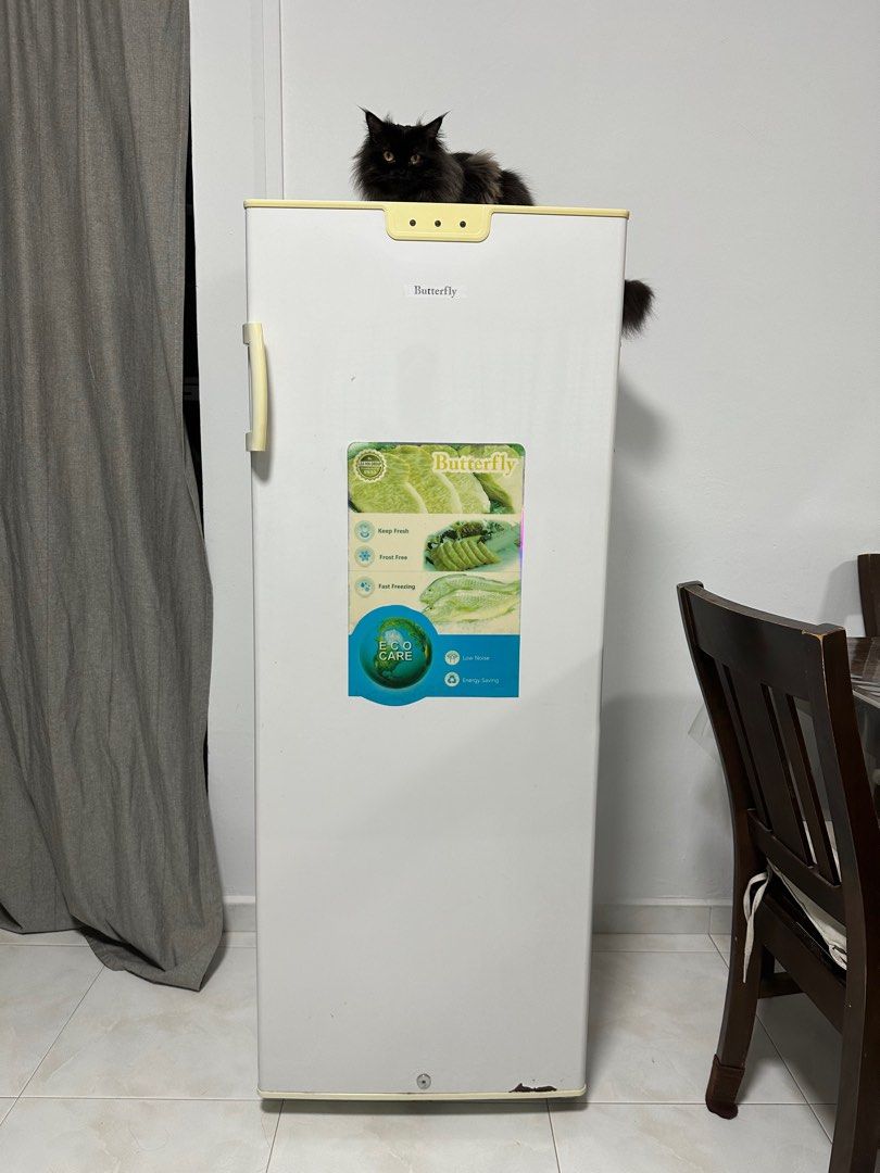 Butterfly Upright Freezer, TV & Home Appliances, Kitchen Appliances ...