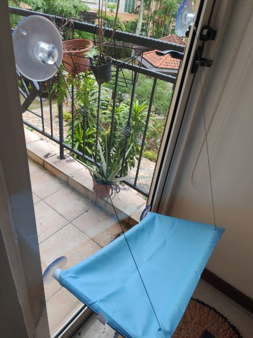 Suction Window Perch for Cats - Blue, Pet Supplies, Homes & Other Pet ...