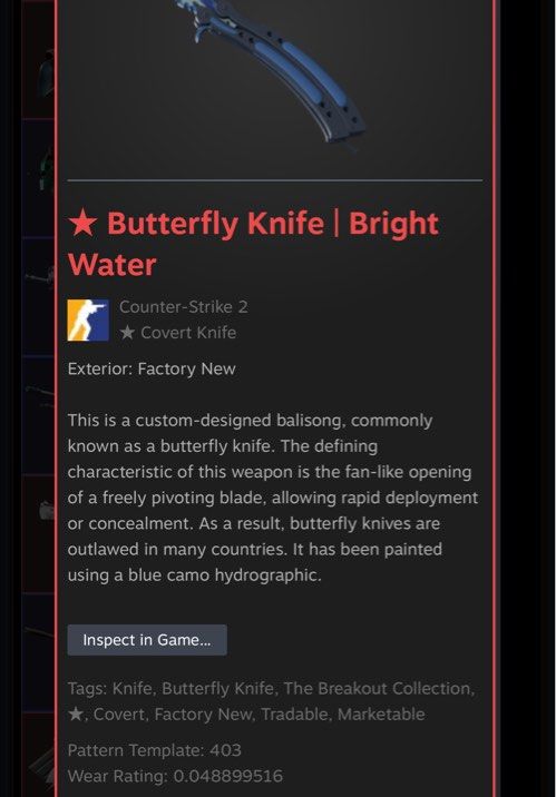 CS2 Butterfly Knife | Bright Water, Video Gaming, Gaming Accessories ...