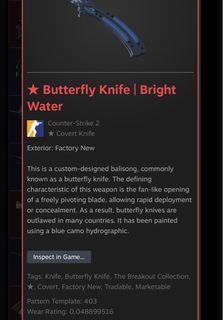 CS2 Gut knife Stained FT, Video Gaming, Gaming Accessories, In-Game ...