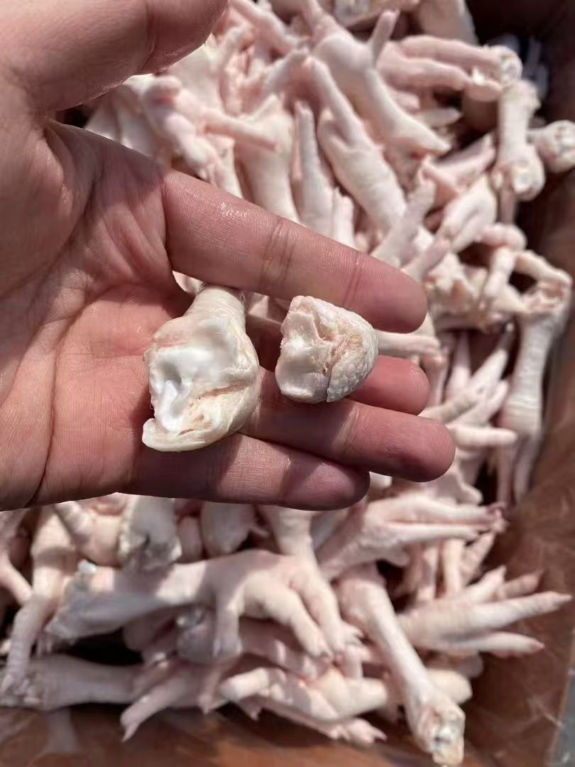 Investor required for Chicken Feet & Paws business, Food & Drinks ...