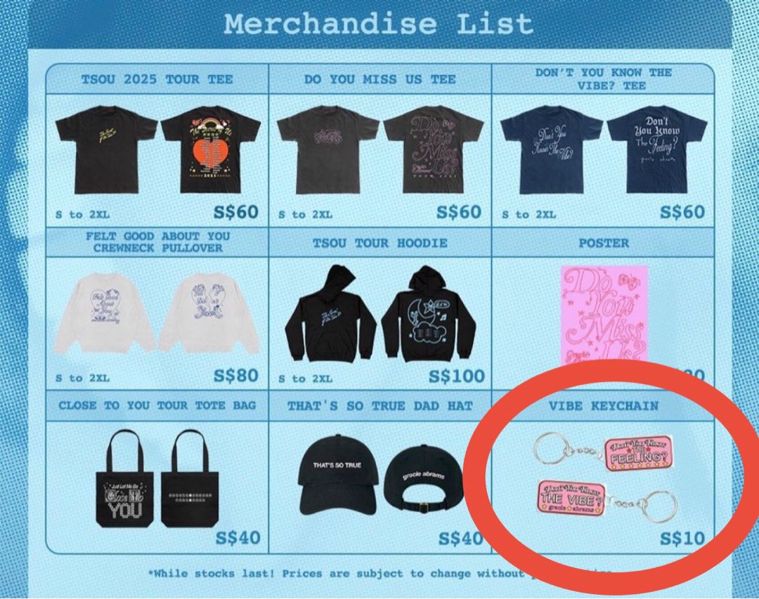 Gracie Abrams TSOU Tour Merch - Vibe Keychain, Hobbies & Toys ...