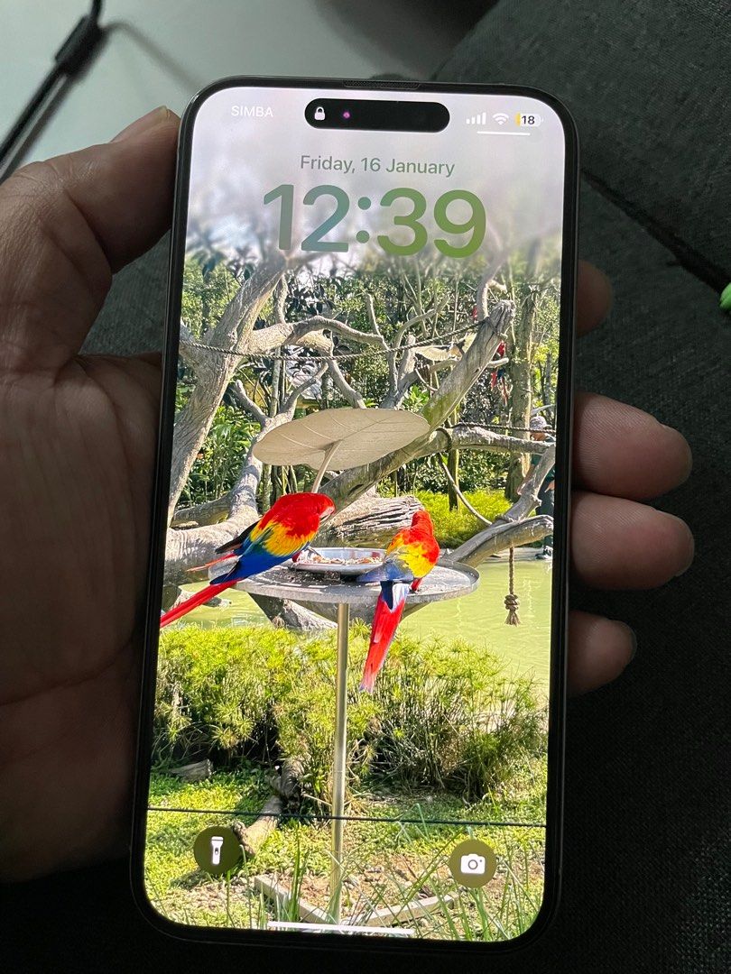 iPhone 15 Pro Max 256GB Natural Titanium, Mobile Phones & Gadgets, Mobile Phones, iPhone, iPhone ...