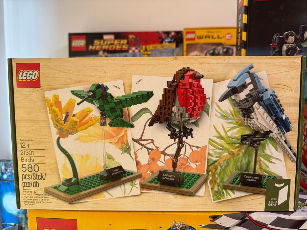LEGO Ideas Birds Set 21301, Hobbies & Toys, Toys & Games on Carousell
