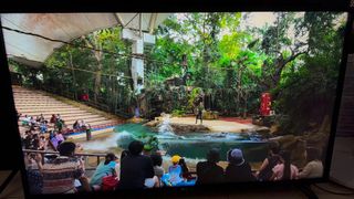 LG 55" Smart 4K TV (2025), TV & Home Appliances, TV & Entertainment, TV ...