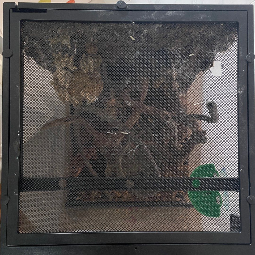 MISU Terrarium reptile with Humidifier 45x45x60 cm, Pet Supplies, Homes ...