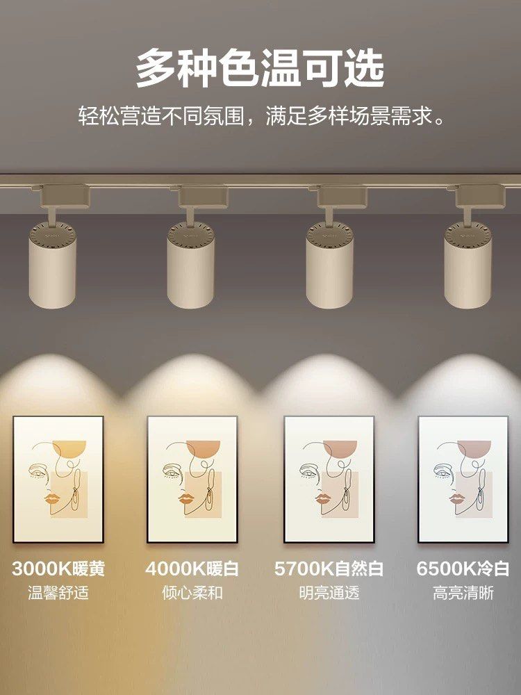 Spotlight/track light 40W 6500K cool white light, white case, Furniture & Home Living, Lighting ...