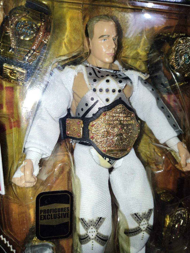 WWE Exclusive Collection Shawn Michaels Action Figure, Hobbies & Toys ...