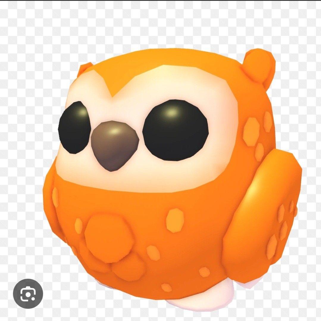 Adopt Me clementine owl, Video Gaming, Gaming Accessories, In-Game ...