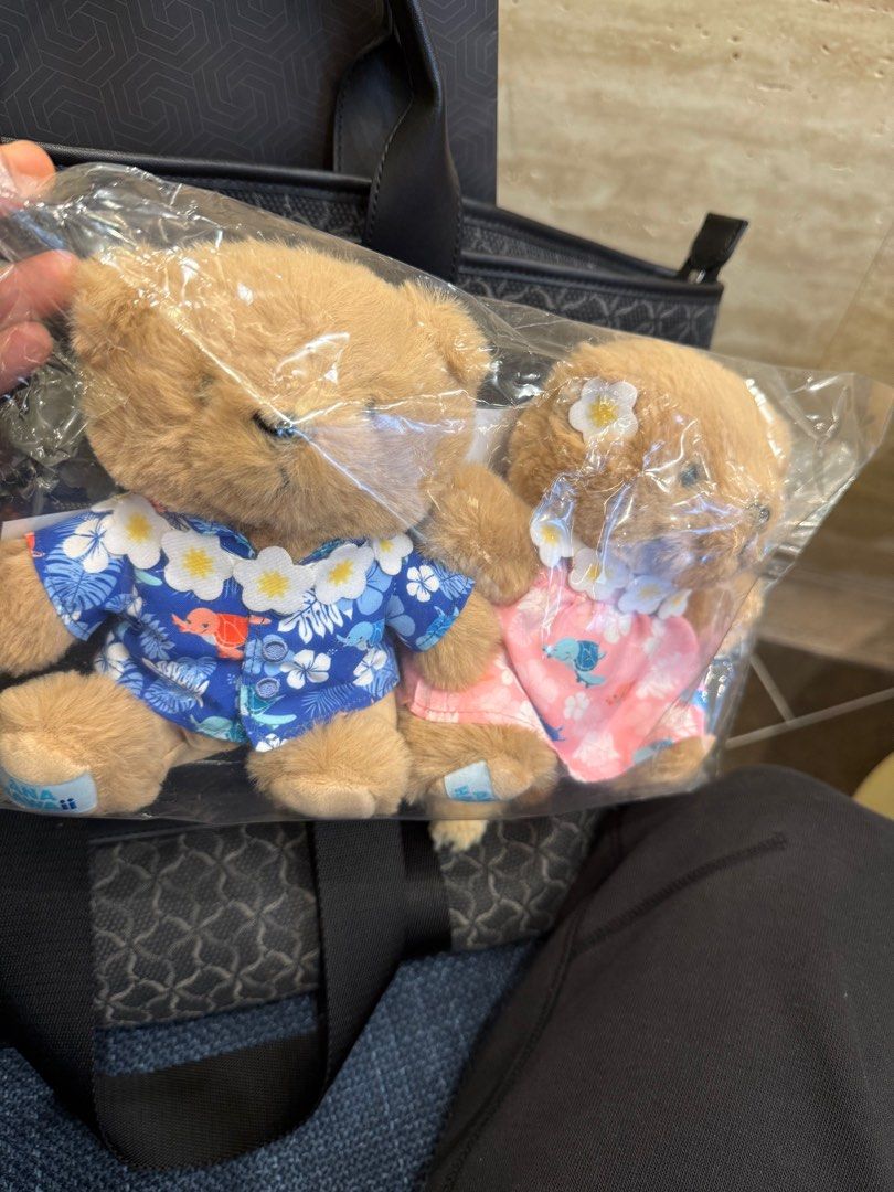 ANA all Nippon airways inflight Limited Hawaii bear, Hobbies & Toys ...