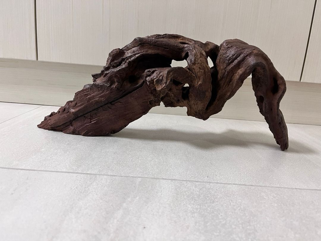 Aquarium Driftwood Fish Tank Arowana Discus Stingray Altum Pleco Tiger ...