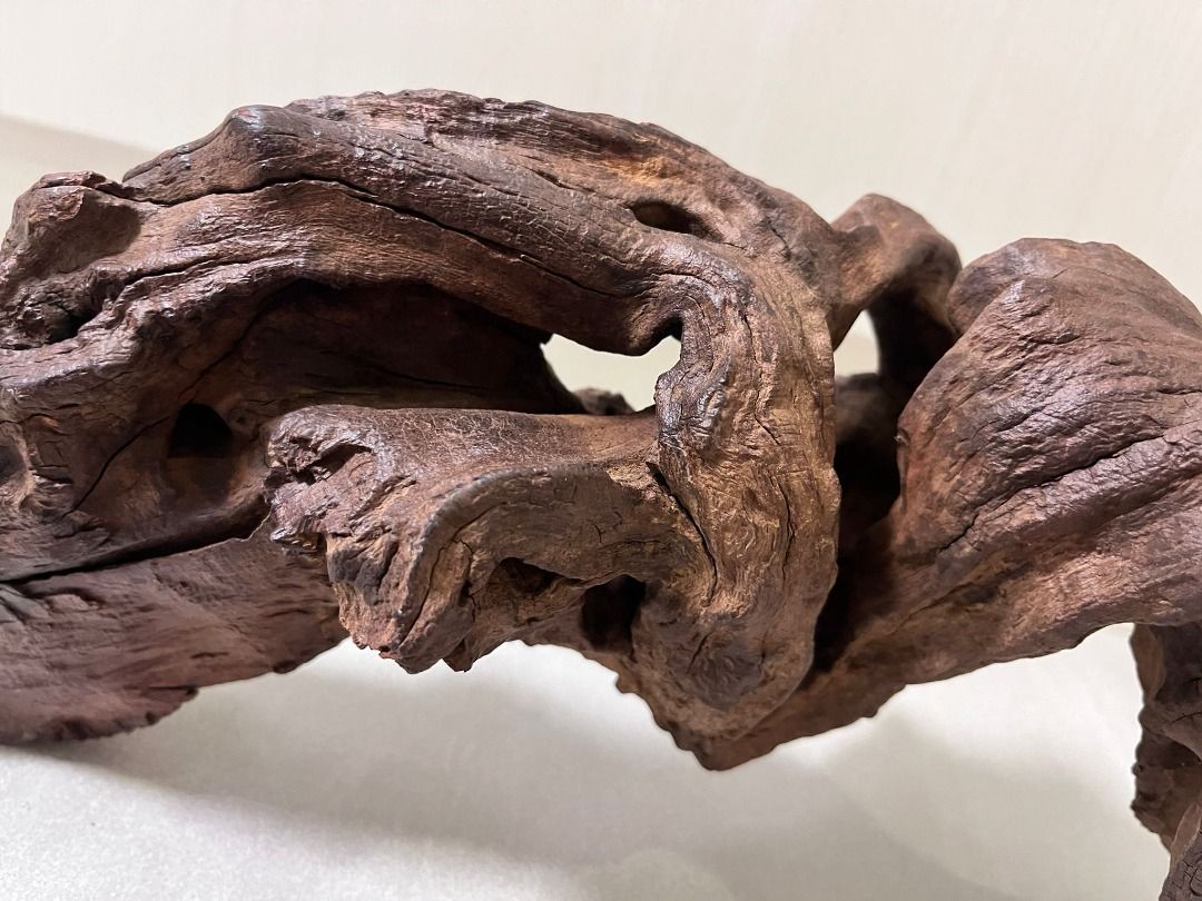 Aquarium Driftwood Fish Tank Arowana Discus Stingray Altum Pleco Tiger ...