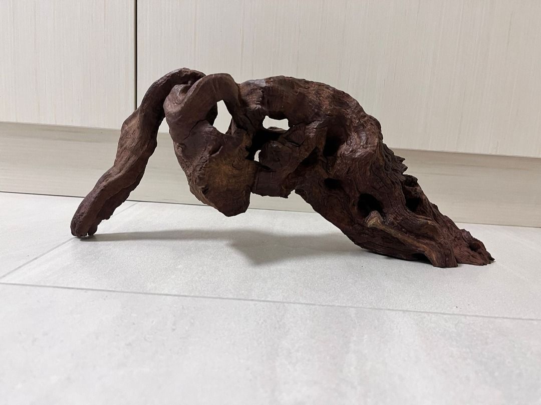 Aquarium Driftwood Fish Tank Arowana Discus Stingray Altum Pleco Tiger ...