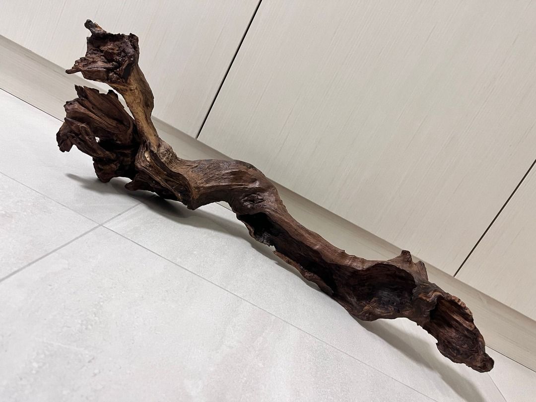 Long Aquarium Driftwood Fish Tank Arowana Discus Stingray Altum Pleco ...