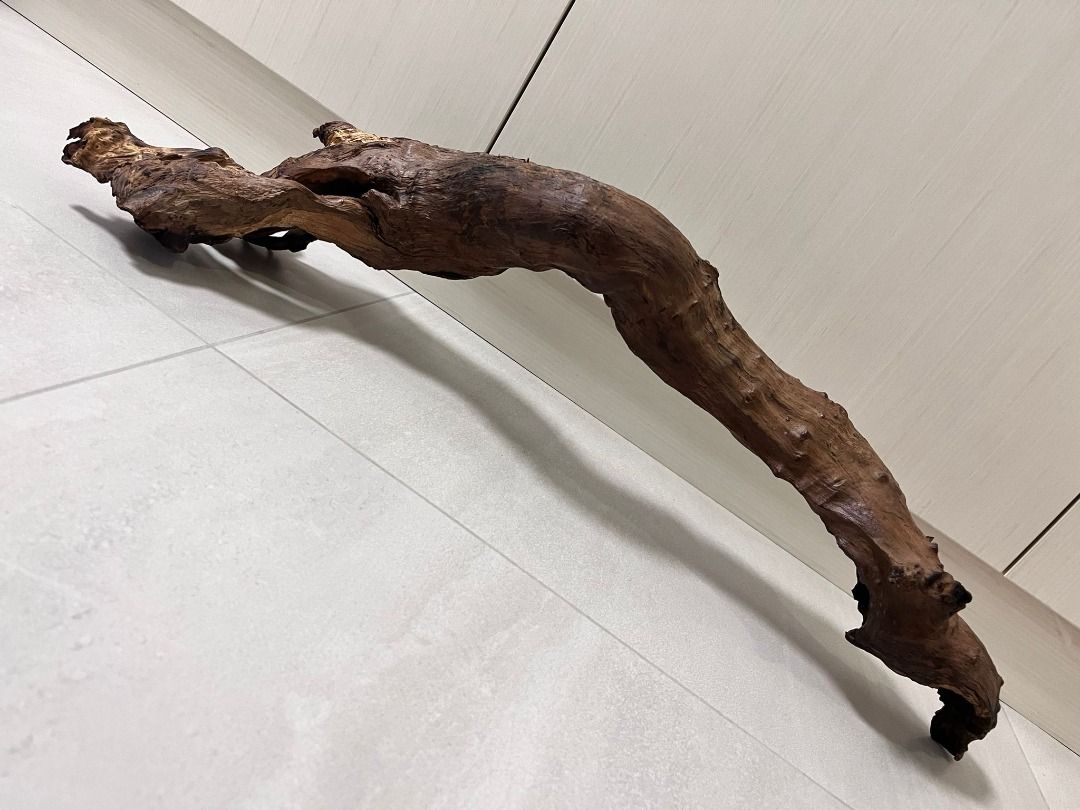 Long Aquarium Driftwood Fish Tank Arowana Discus Stingray Altum Pleco ...