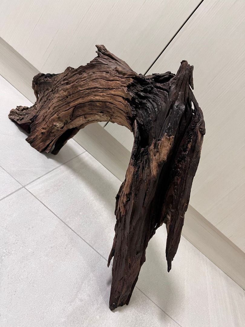 Large Aquarium Driftwood Fish Tank Arowana Discus Stingray Altum Pleco ...