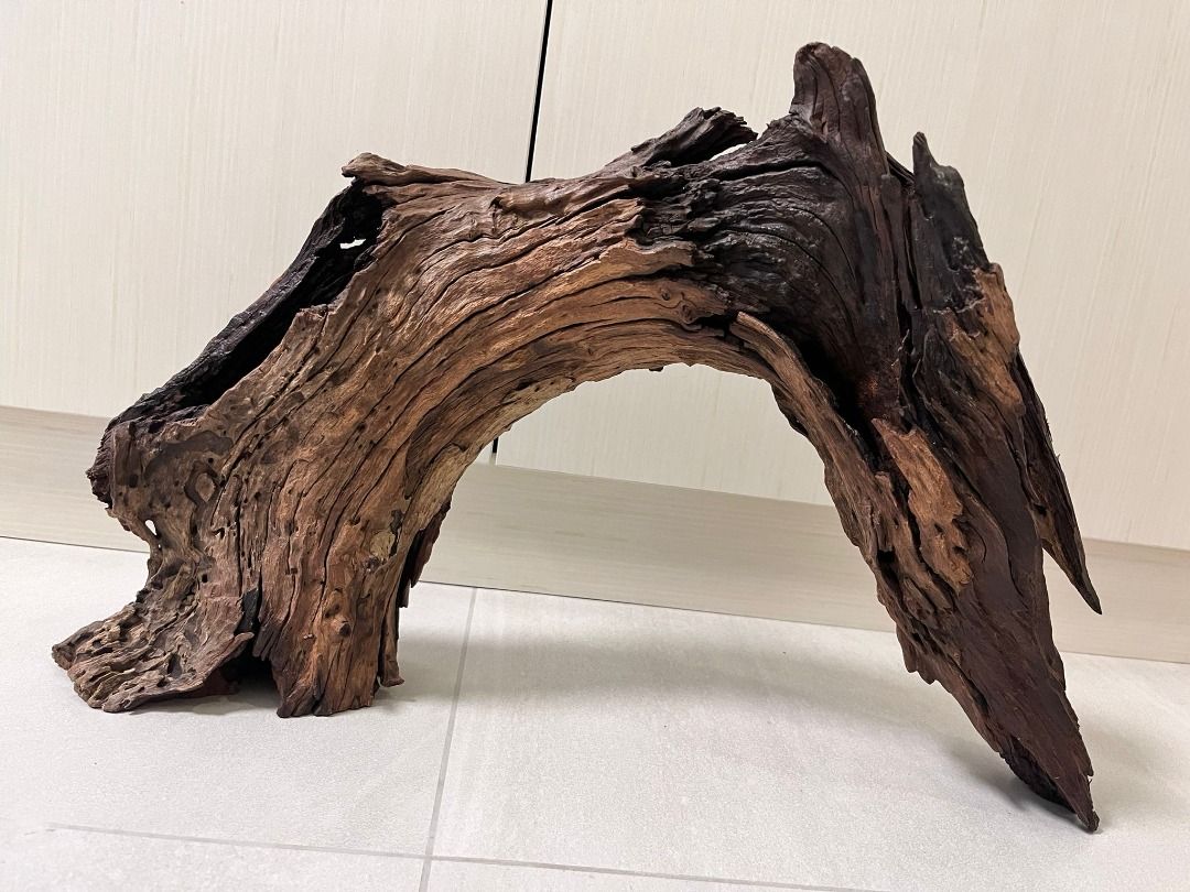 Large Aquarium Driftwood Fish Tank Arowana Discus Stingray Altum Pleco ...