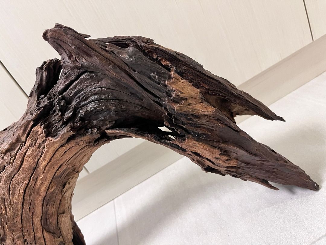 Large Aquarium Driftwood Fish Tank Arowana Discus Stingray Altum Pleco ...