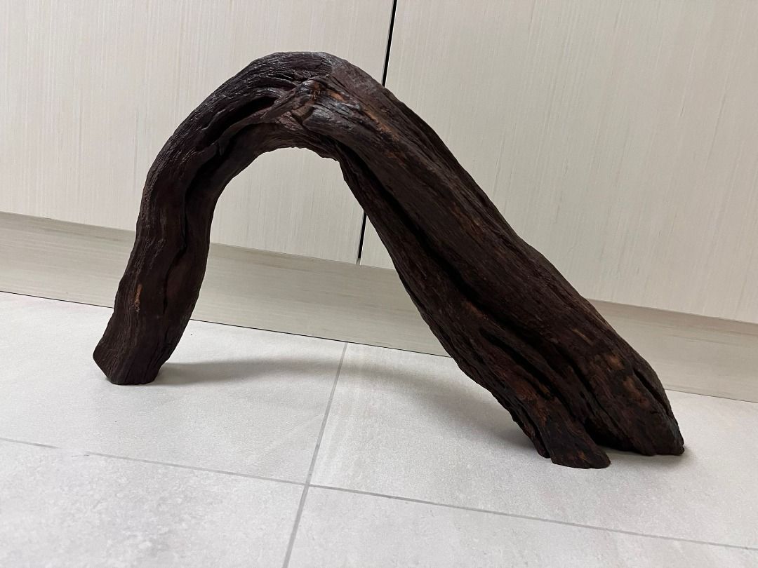 Aquarium Driftwood Fish Tank Arowana Discus Stingray Altum Pleco Tiger ...