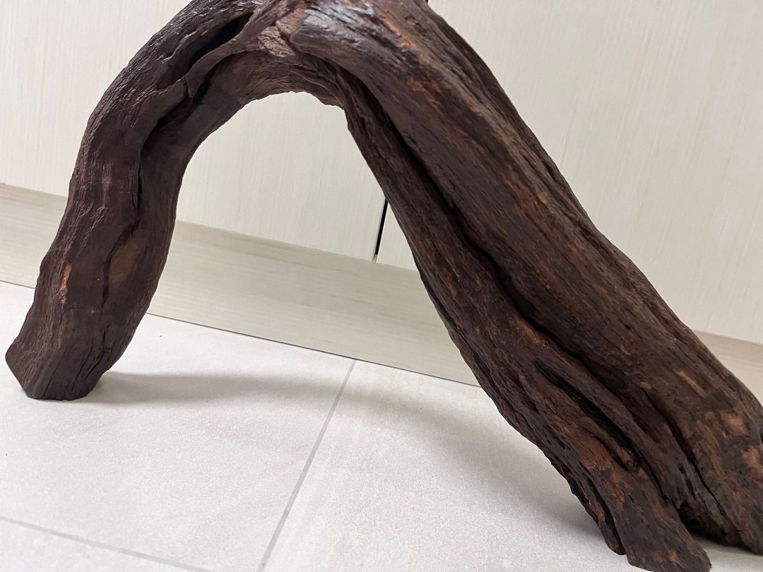 Aquarium Driftwood Fish Tank Arowana Discus Stingray Altum Pleco Tiger ...