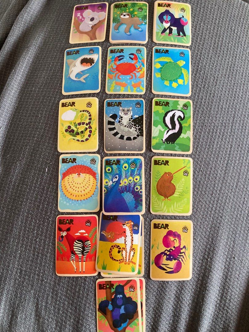 Bear Animal Flash Cards, Hobbies & Toys, Toys & Games on Carousell