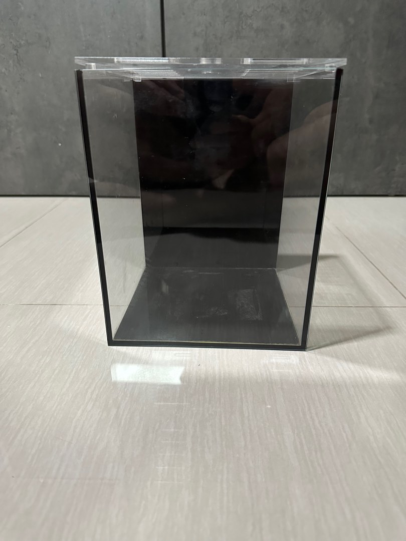 Betta fish tank (glass aquarium), Pet Supplies, Homes & Other Pet ...