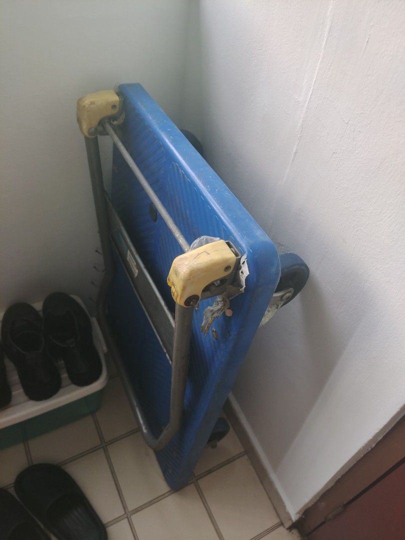 Blue Folding Trolley Heavy Duty, Hobbies & Toys, Travel, Travel ...