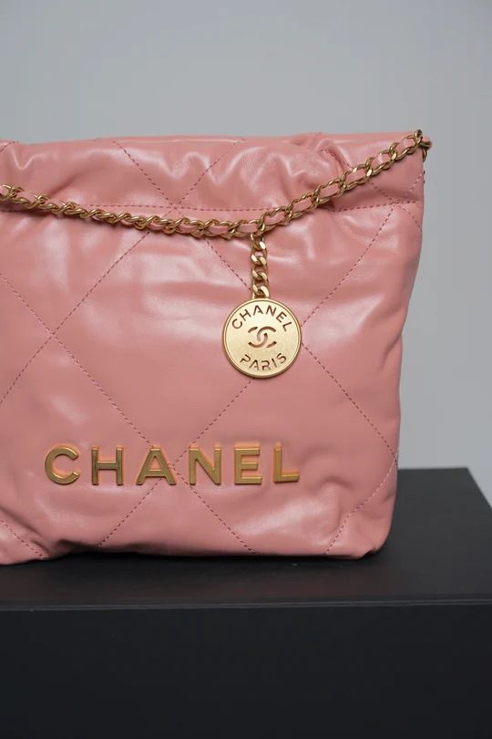 Chanel 22 Mini Hobo Bag in Pink Bghw, Luxury, Bags & Wallets on Carousell