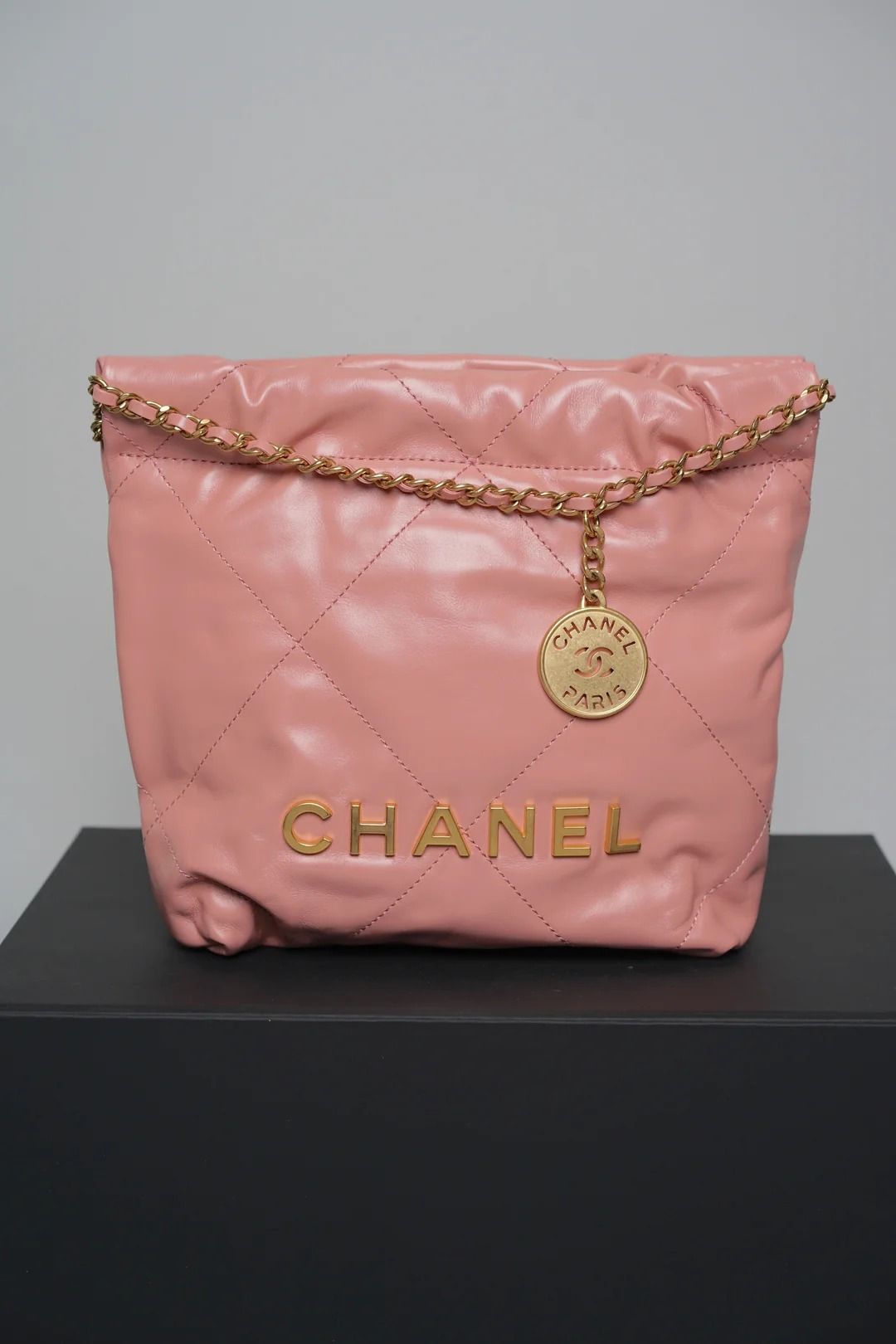 Chanel 22 Mini Hobo Bag in Pink Bghw, Luxury, Bags & Wallets on Carousell