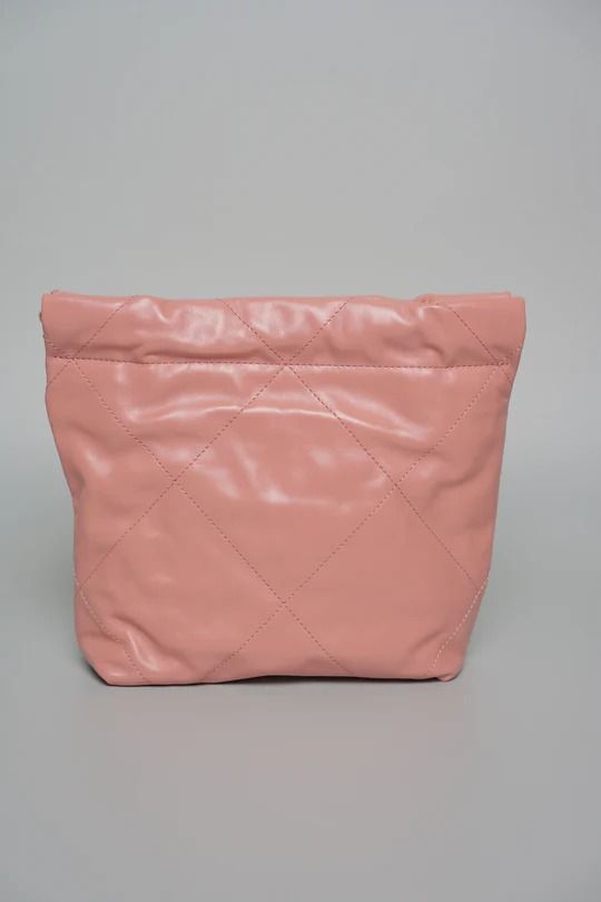 Chanel 22 Mini Hobo Bag in Pink Bghw, Luxury, Bags & Wallets on Carousell