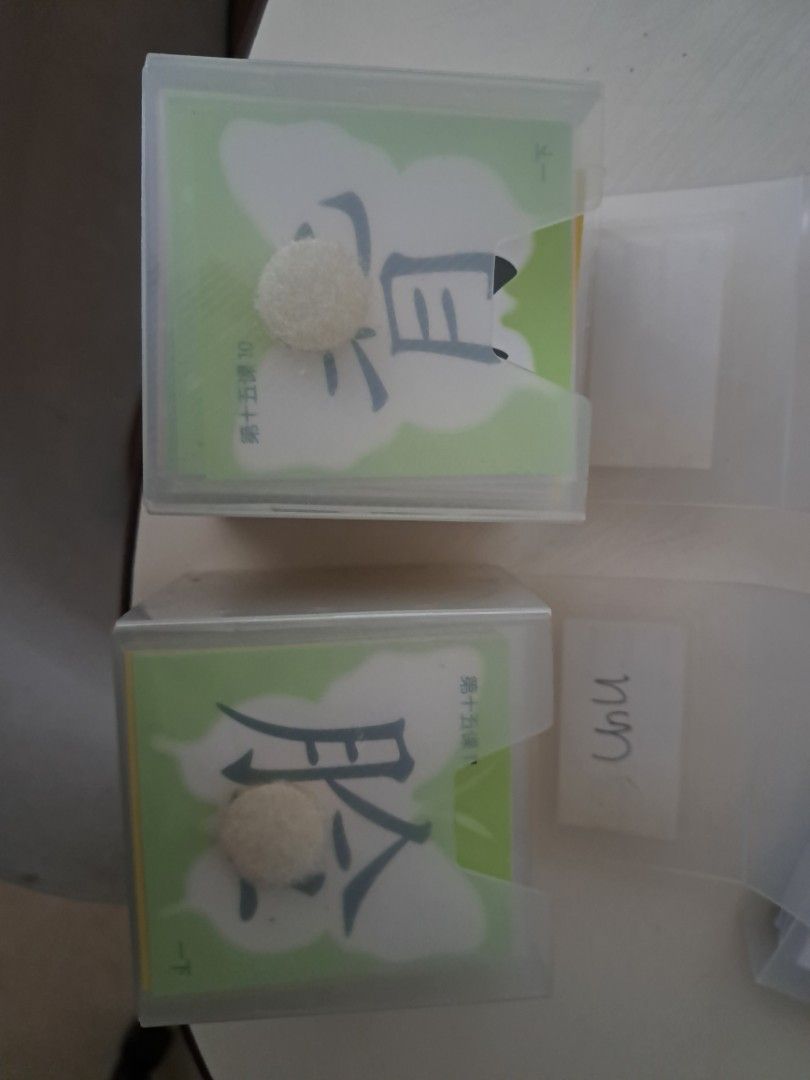 Chinese Character Flashcards - Face and Ear, Hobbies & Toys, Books ...