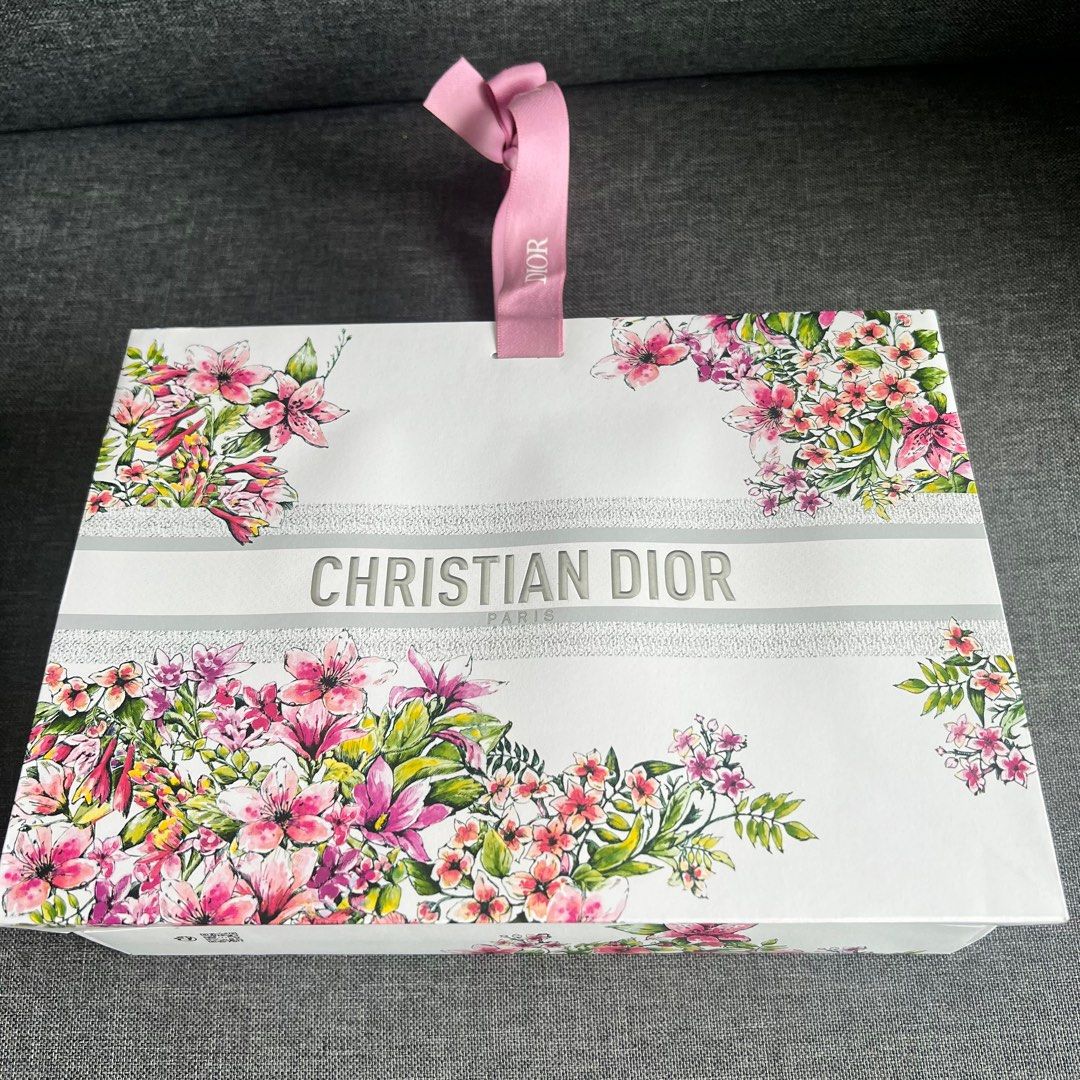 Dior Limited Edition Clutch Paperbag, Hobbies & Toys, Stationery ...