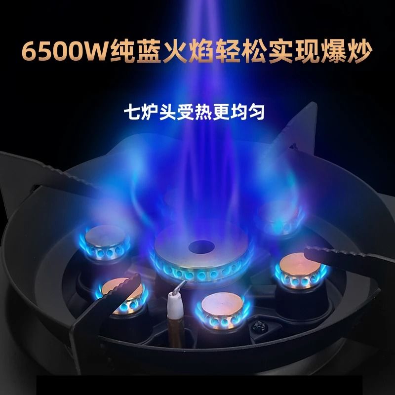 Dual purpose 6.5KW fire cassette stove commercial outdoor dual purpose ...