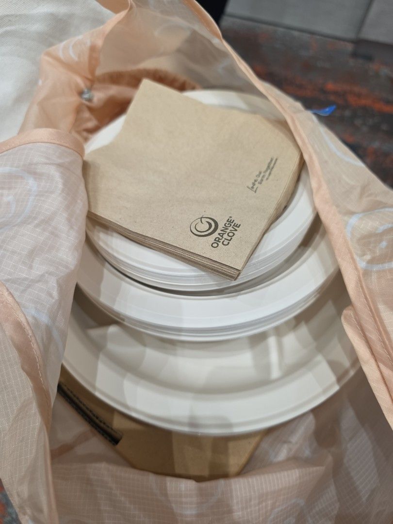 [GA] Disposable Plates, Fork and Spoons and some Napkins, Furniture ...