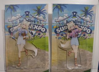 Hololive Shirakami Fubuki Acrylic Board, Hobbies & Toys, Memorabilia ...