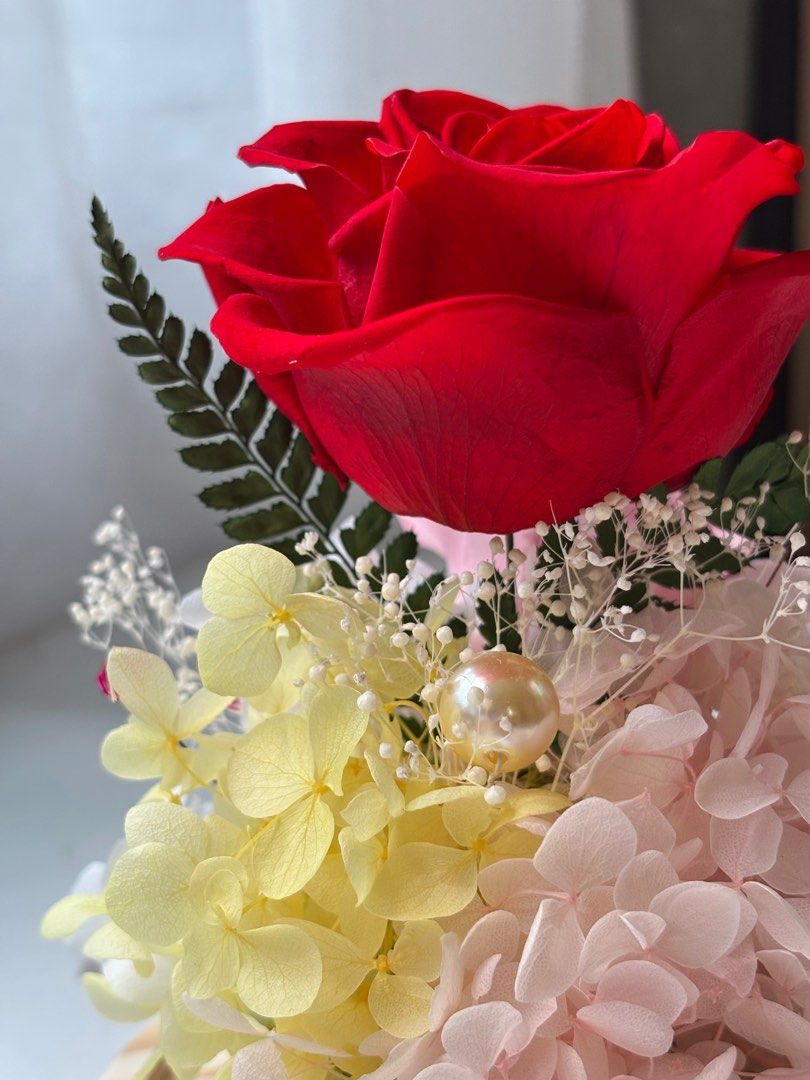 Preserved Flower Dome, Hobbies & Toys, Flowers & Bouquets on Carousell