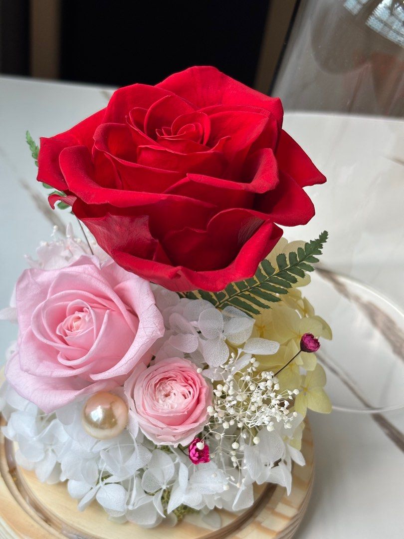 Preserved Flower Dome, Hobbies & Toys, Flowers & Bouquets on Carousell