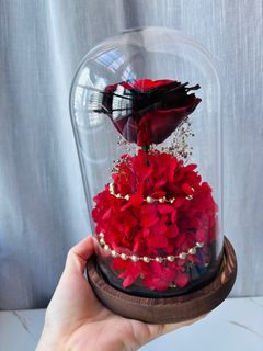 Preserved Flower Dome, Hobbies & Toys, Flowers & Bouquets on Carousell