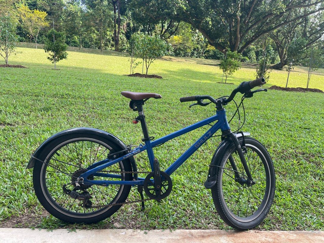 Shulz Bubble 20 Kids Bike - Blue, Sports Equipment, Bicycles & Parts ...