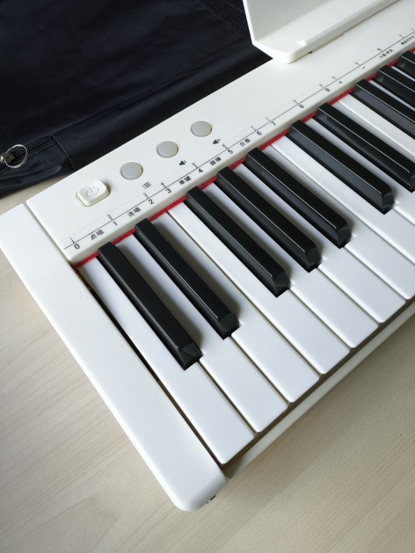 Terence 61 Key Electronic Keyboard with Heavy Duty Stand, Hobbies ...